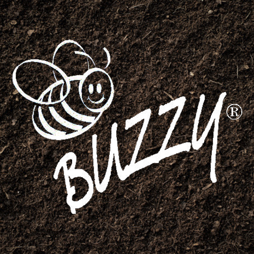Buzzy – De Moestuinwinkel