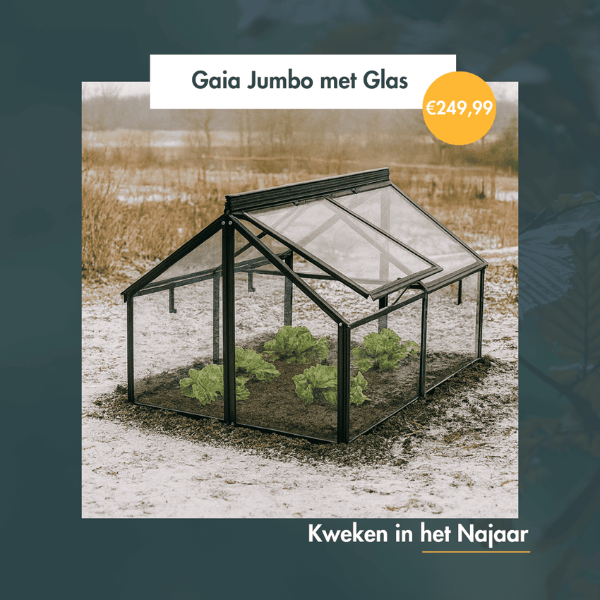 Bingenheimer – De Moestuinwinkel