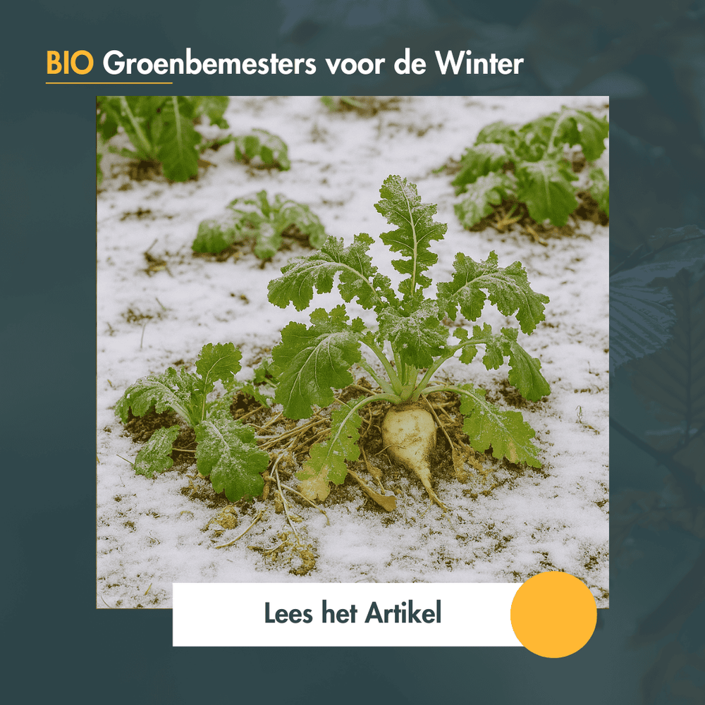 Bingenheimer – De Moestuinwinkel