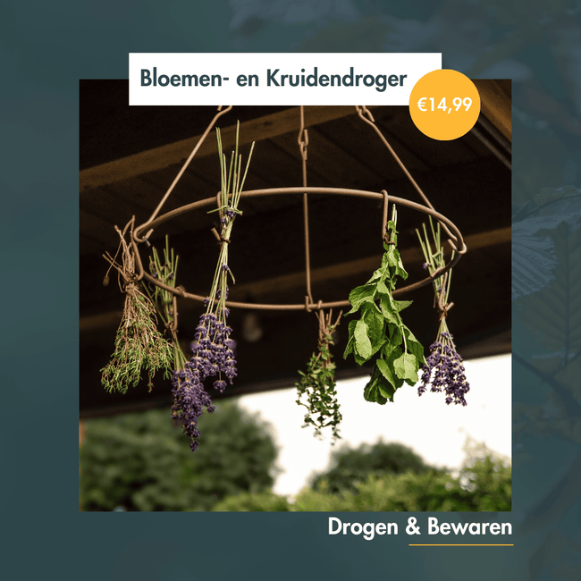 Sluis Garden – De Moestuinwinkel