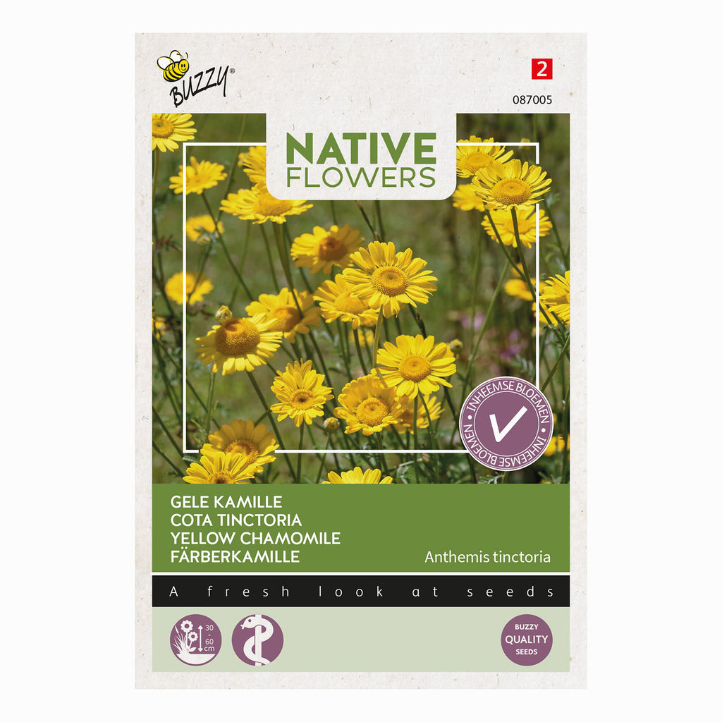 Inheems Gele Kamille (Anthemis tinctoria) | Inheemse Bloemenzaden ...