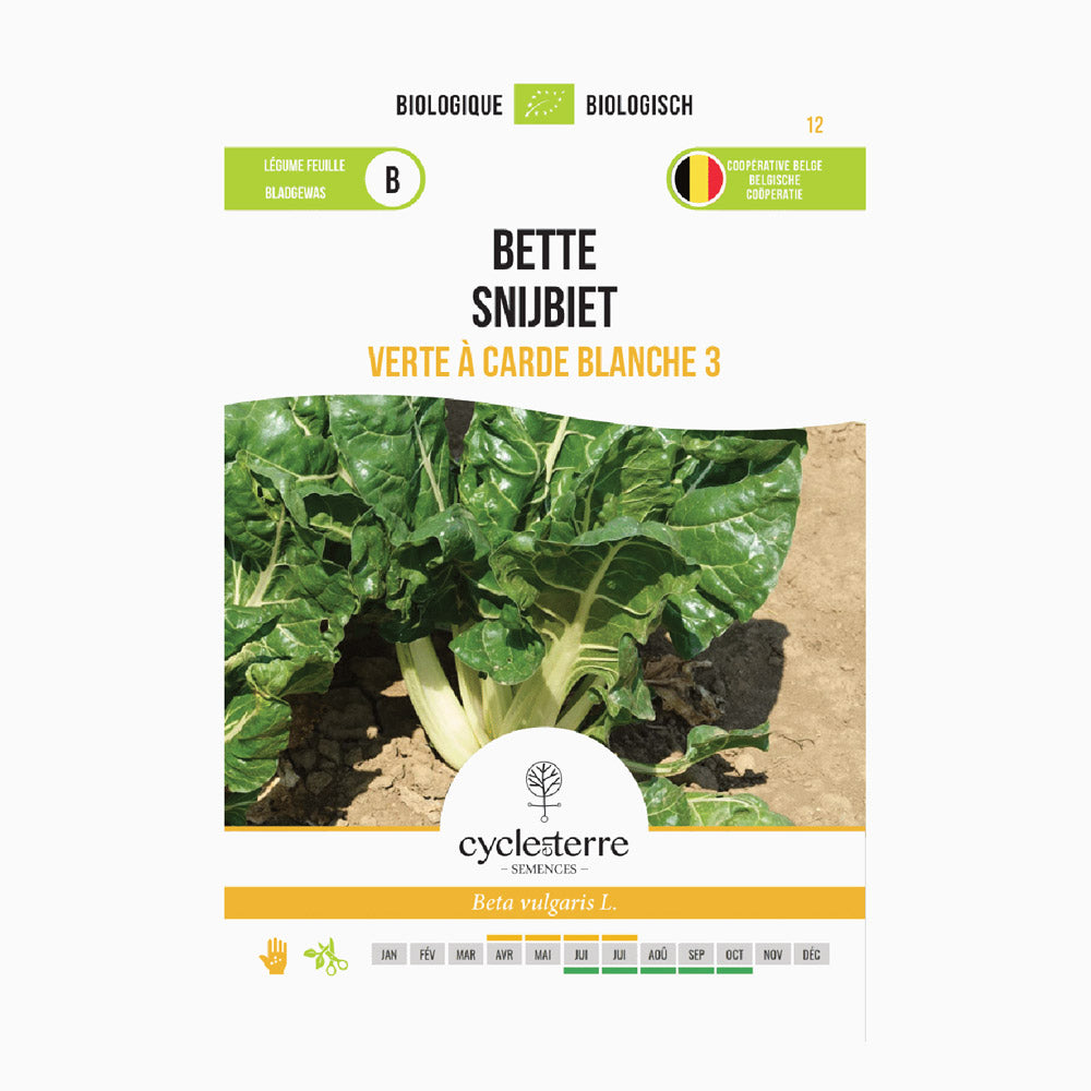Snijbiet 'Witte bladsteel 3' | Biologische Zaden, BIO | Cycle en Terre ...
