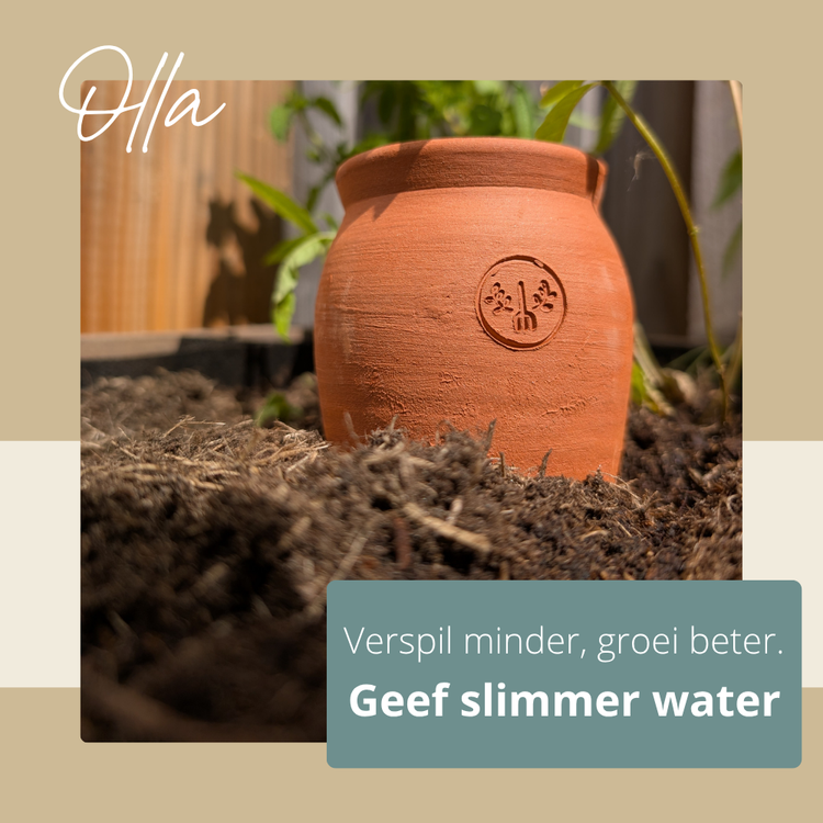 Sluis Garden | De Moestuinwinkel