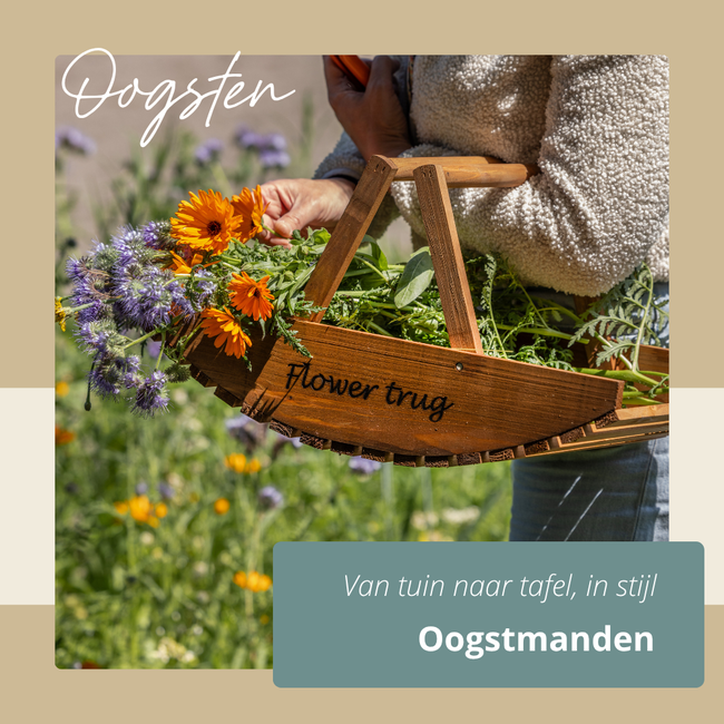 Sluis Garden | De Moestuinwinkel