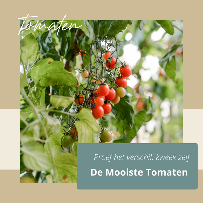 Sluis Garden | De Moestuinwinkel