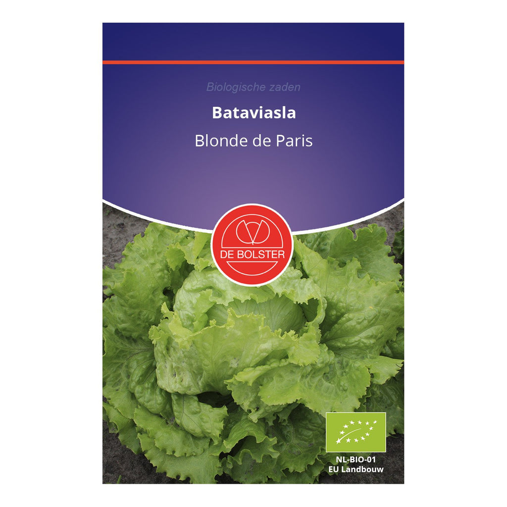 Bataviasla 'Blonde de Paris' - De Bolster (BIO) – De Moestuinwinkel