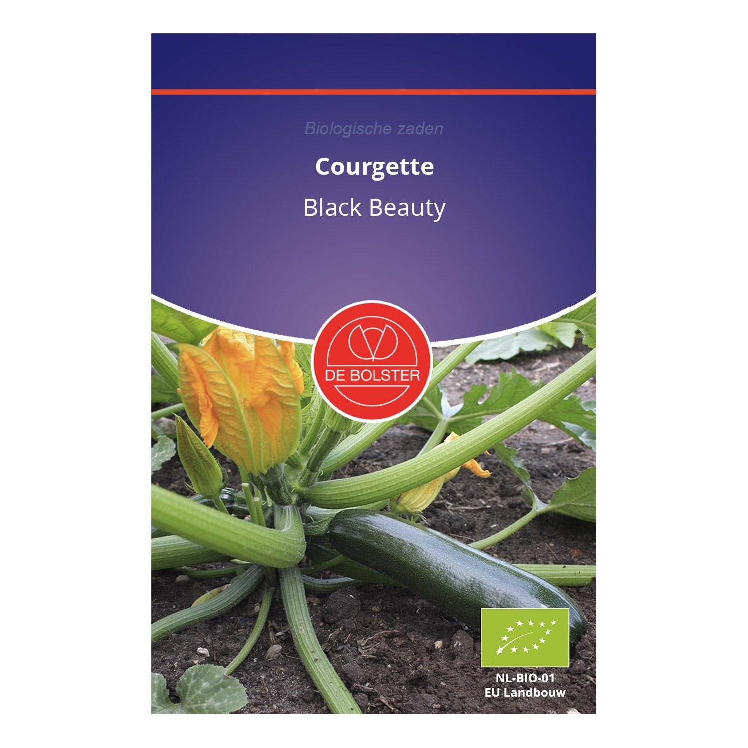 Bio Courgette Zaden | Klimcourgette, Bolcourgette | De Moestuinwinkel