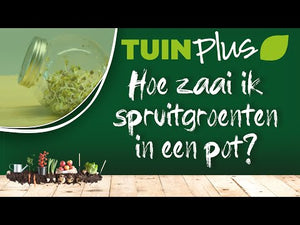 Buzzy Organic Spruitgroente Daikon glazen pot – De Moestuinwinkel